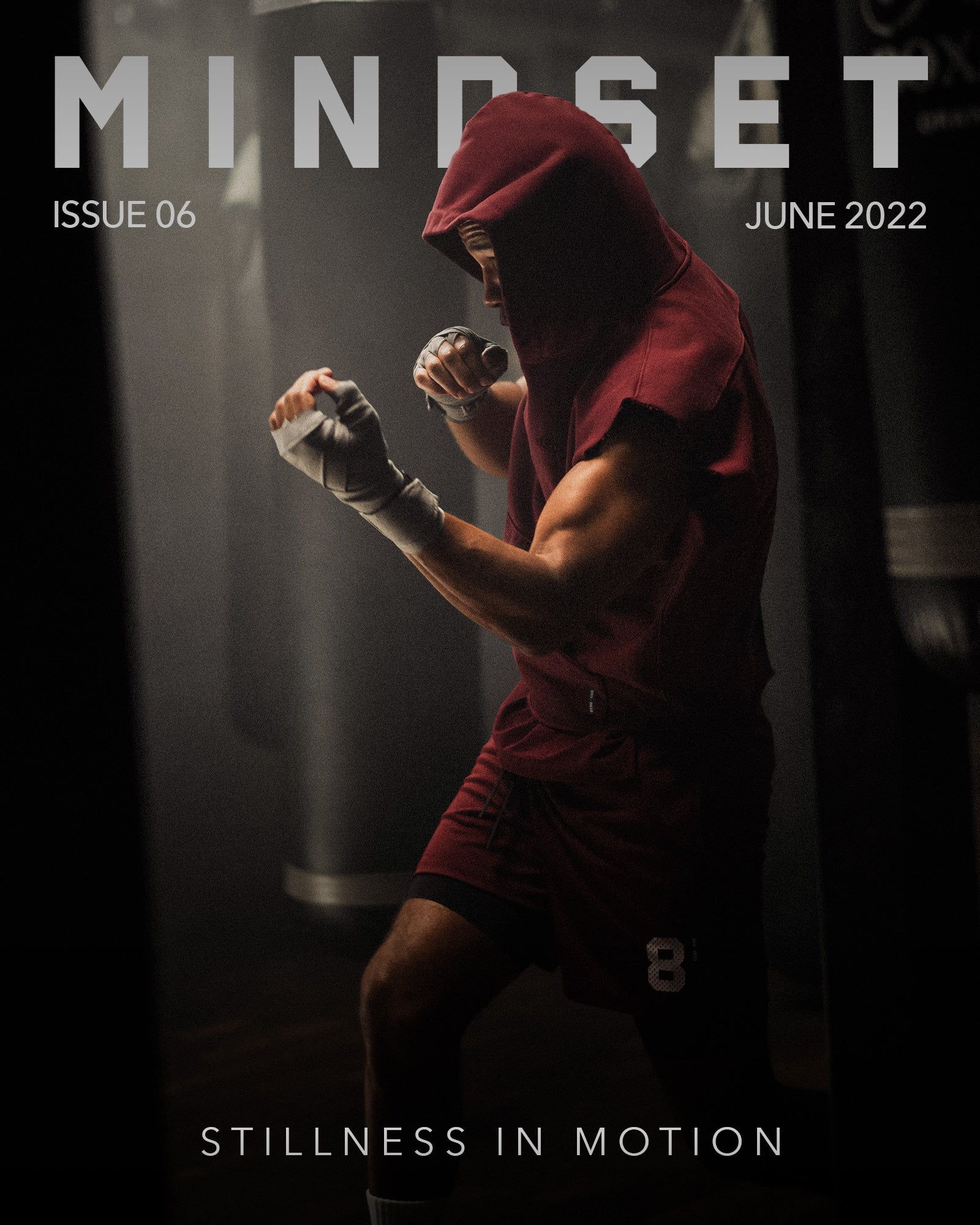 Mindset Training - Issue 6 – ASRV